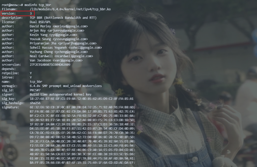 编译Google TCP BBR v3-荒岛