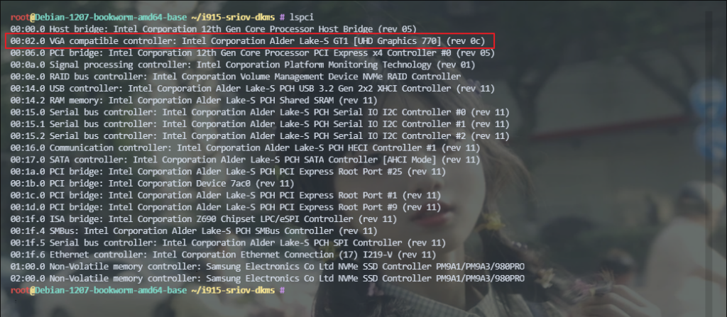 Proxmox VE iGPU直通（SR-IOV）-荒岛