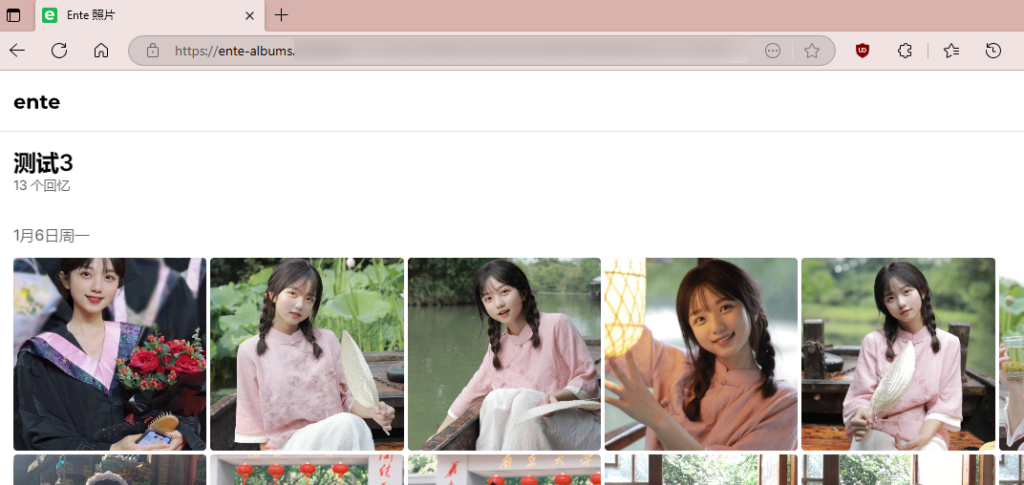 Ente全家桶部署：Ente Photos、Ente Auth-荒岛